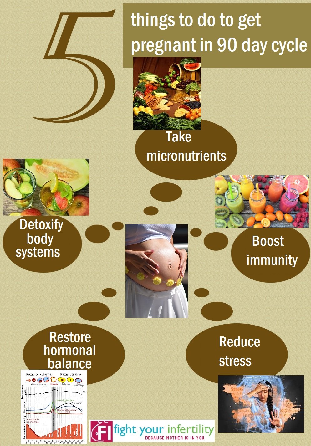 Exactly How to Get Pregnancy in a 90 Day Cycle - Fight Your Infertility